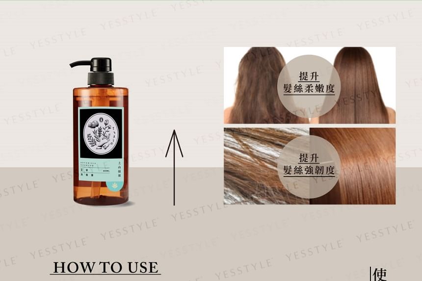 Buy SOFNON - Tsaio Shampoo 600ml (x12) (Bulk Box) in Bulk | AsianBeautyWholesale.com