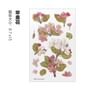 Tivi Boutique - Plant Sticker (Various Designs) / Set | YesStyle