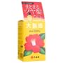 Oshima Tsubaki - Camellia Oil | YesStyle