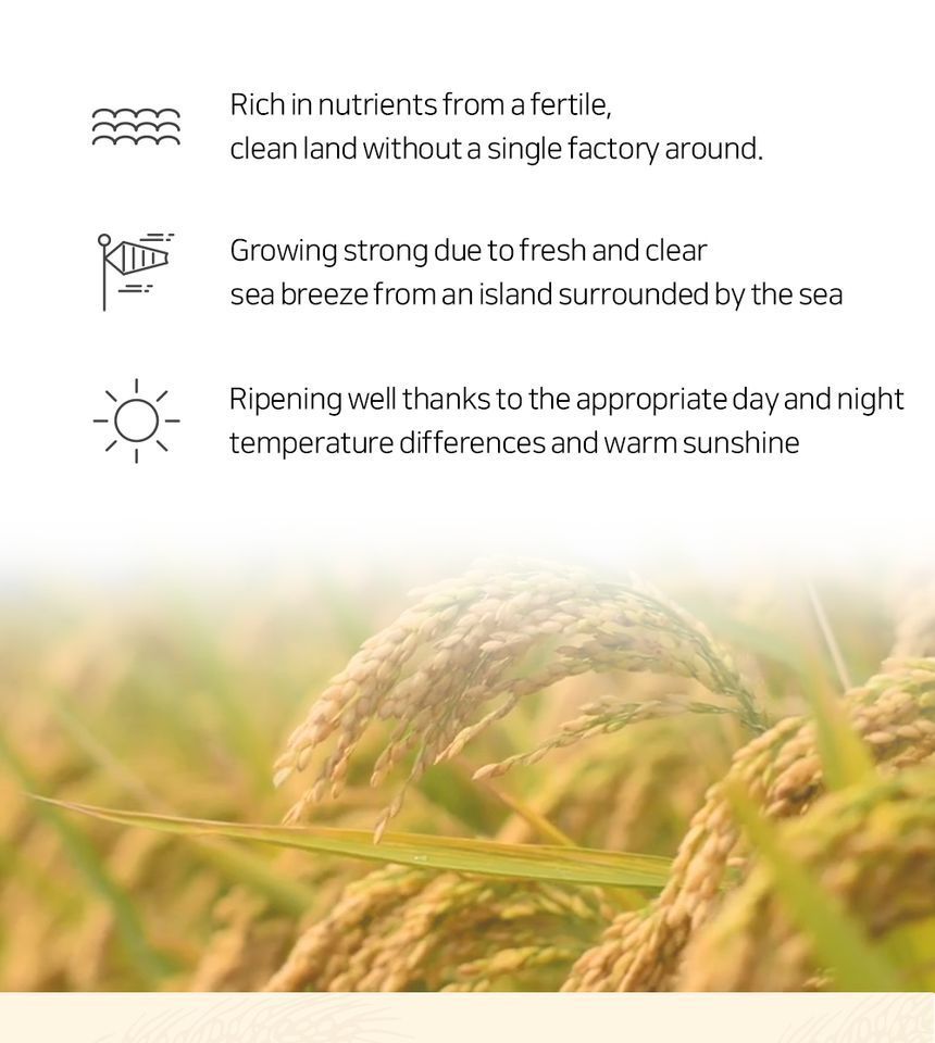 THANK YOU FARMER Rice Pure Essential Toner | YesStyle